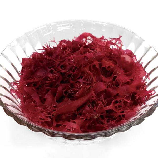 【業務用】【業務用食材】【常温商品】【7,990円以上ご購入で送料無料】【食彩ネットショップ】飾りつけの際も海藻自体の立ち上がりがよく、ボリュー ム感や立体感の出しやすい海藻です。■原材料：食塩（国内製造）、とさかのり（国内産）■調理方法：...