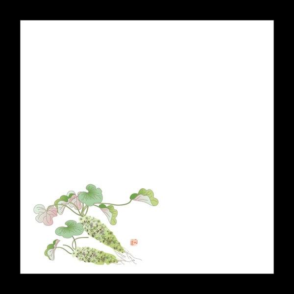 【業務用】【常温商品】【規格内容】幅１２０×長さ１２０ｍｍ【材質】無蛍光和紙【補足２】使い捨て【色】白【柄】柄付【季節】５月、６月、７月【商品特徴】豊富な絵柄から季節に応じてお使い頂けます。■【材質】：無蛍光和紙■規格：1冊■メーカー：精巧社
