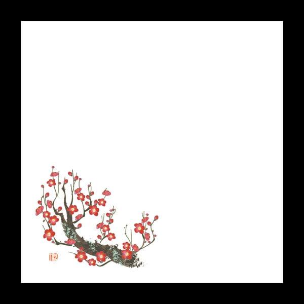 【業務用】【常温商品】【規格内容】幅１２０×長さ１２０ｍｍ【材質】無蛍光和紙【補足２】使い捨て【色】白【柄】柄付【季節】オールシーズン【商品特徴】豊富な絵柄から季節に応じてお使い頂けます。■【材質】：無蛍光和紙■規格：1冊■メーカー：精巧社