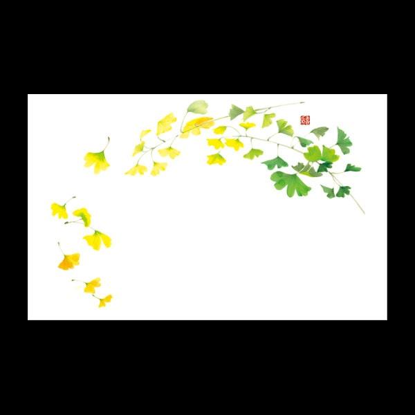 【業務用】【常温商品】【規格内容】尺５：幅（３１０×長さ４５０ｍｍ）【材質】無蛍光和紙【補足２】使い捨て【色】白【柄】柄付【季節】１０月、１１月【商品特徴】白地は無蛍光和紙、それ以外のものは色付和紙を使用しております。　※画面の色は実際の色...