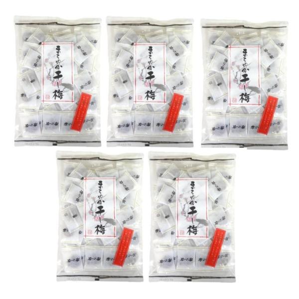 まろやか干し梅 ピロ大 160g  5袋セット 甘くて酸っぱい味が癖になります。種を抜いてありますのでそのまま食べられます。果肉が軟らかくまろやかな食感です。内容量 160g（個包装紙込）入数 5原産国 中国原材料 梅・食塩・砂糖・果糖ぶど...