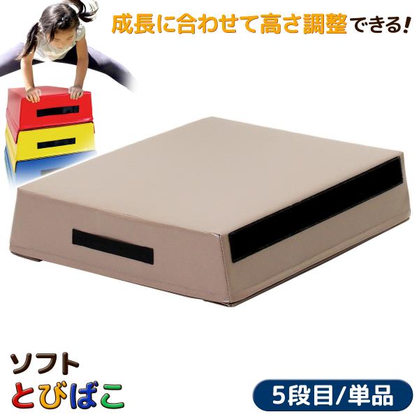 【商品説明】※こちらは「5段目/単品」の販売ページになります※【跳び箱で身体能力UP】跳び箱はお子様の運動能力・やる気を育てるのにオススメのアイテムになっています！なぜなら跳び箱は身に付けにくい運動能力全般を養うことが出来る、とても優れた教...