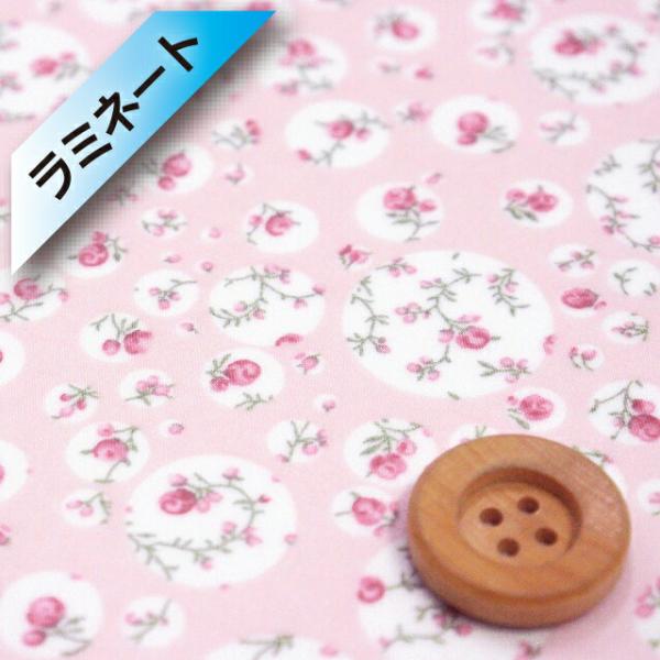 【発売日：2023年08月25日】★ご注文数量に数センチの余裕を持ってカットしておりますが、ご注文の際は縫い代を含め、余裕を持たせた数量にてご注文ください。また、「地の目」を通してのカットはできかねます。あしからずご了承ください。● 202...