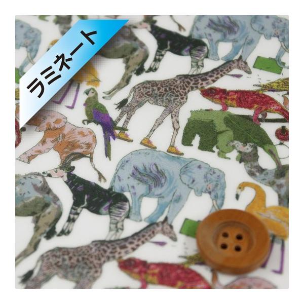 ★ご注文数量に数センチの余裕を持ってカットしておりますが、ご注文の際は、縫い代を含め、余裕を持たせた数量にてご注文ください。また、「柄」にそってのカットはできかねます。あしからずご了承ください。リバティプリント タナローン（ラミネート加工）...