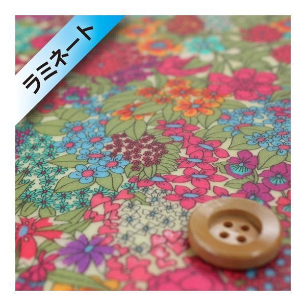 ★ご注文数量に数センチの余裕を持ってカットしておりますが、ご注文の際は、縫い代を含め、余裕を持たせた数量にてご注文ください。また、「柄」にそってのカットはできかねます。あしからずご了承ください。リバティプリント タナローン（ラミネート加工）...