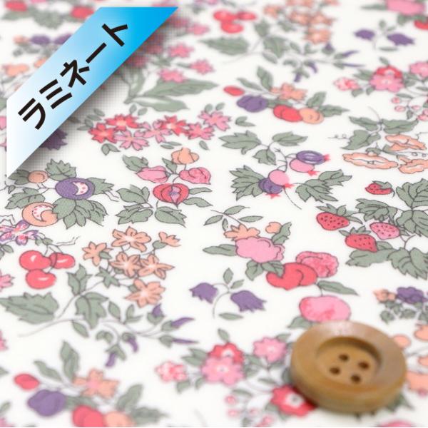 【発売日：2021年03月01日】★ご注文数量に数センチの余裕を持ってカットしておりますが、ご注文の際は、縫い代を含め、余裕を持たせた数量にてご注文ください。また、「柄」にそってのカットはできかねます。あしからずご了承ください。リバティプリ...