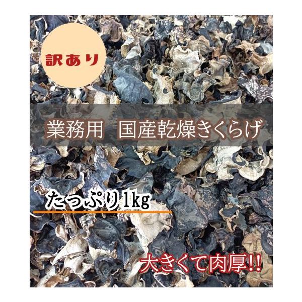 【発売日：2023年01月20日】アラゲキクラゲ天日干し生産地　青森県十和田市　法量川口奥入瀬渓流の伏流水で育った?安心な国産です。大きくなりすぎたキクラゲを天日干し肉厚で大きいのでたっぷり使っていただけます。訳アリな理由！大きすぎるだけで...