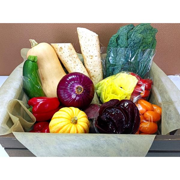 【発売日：2021年09月24日】使いやすいようそれぞれ1個ずつ入っています。☆☆今年の冬は「お家でカラフル野菜のアレンジ料理を」☆☆視覚で楽しんだ後は味覚でお楽しみください。カラフル野菜鍋・・・チーズを浮かべてフォンデュ風に。カラフル野菜...