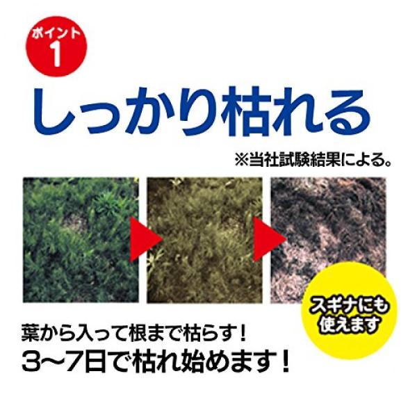 【在庫有・即納】【まとめ買い】【4本セット】アイリスオーヤマ 除草剤 速効除草剤 4L そのまま使える SJS-4L 液体除草剤 除草 雑草対策 | ダイユーエイト収納ナビ.com ...