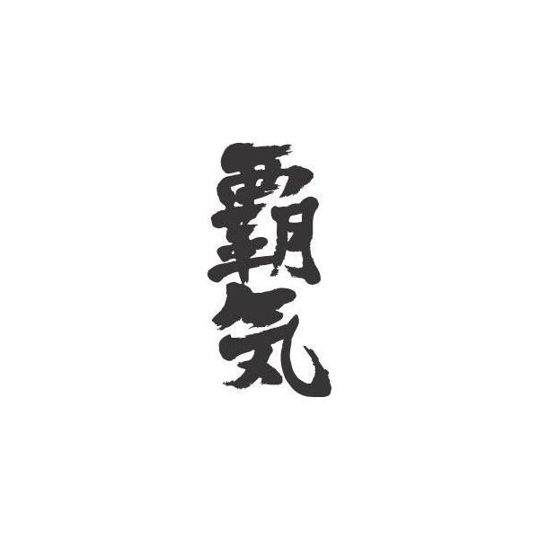 かっこいい漢字/文字をご用意。プロの書く字は線の勢いや全体のバランスなど、どれをとってもすばらしく、ものすごい安堵感があります。和の心、和風トレーナーはいかが？外国へのお土産に最適！！しかもあなたの落款入り♪
