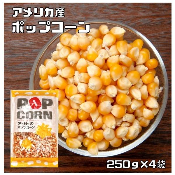 ★アメリカ産のポップコーンです。遺伝子組み換え原料は使用しておりません。はじけやすくて、香ばしい品種を採用しております。お子様のおやつや夜食等にお手軽にご利用頂けます♪★1）底の厚い深めの鍋か大き目のフライパンにコーンを30ｇ〜50ｇ（多く...