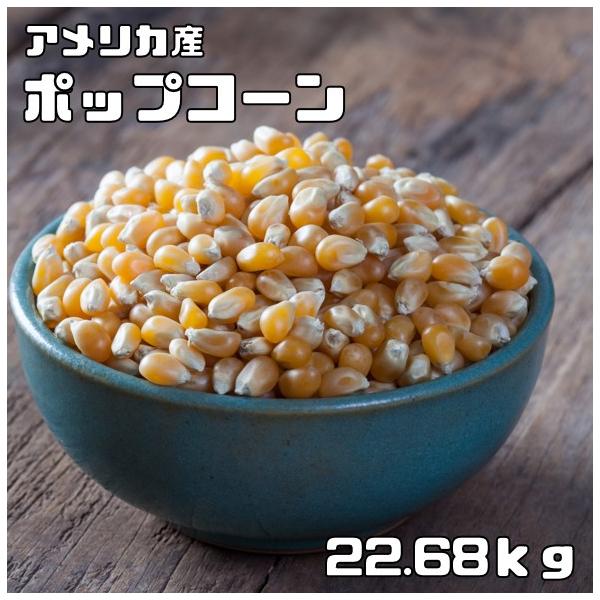 ★アメリカ産のポップコーンです。遺伝子組み換え原料は使用しておりません。はじけやすくて、香ばしい品種を採用しております。お子様のおやつや夜食等にお手軽にご利用頂けます♪★1）底の厚い深めの鍋か大き目のフライパンにコーンを30ｇ〜50ｇ（多く...