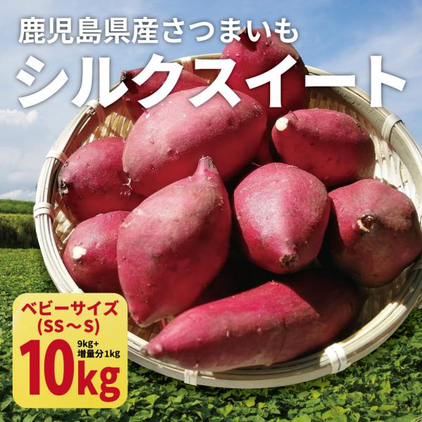 【発売日：2025年01月07日】まるで絹（シルク）を思わせるようななめらかな食感と、すっきりした上品な甘さの「シルクスイート」を、さつまいもの本場 鹿児島県から産地直送いたします。※こちらの商品は、遠隔地配送時の鮮度が保証できないため、　...