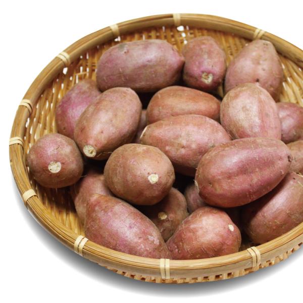 【発売日：2024年08月19日】こちらの商品は、本年度掘りたての「新芋」です。貯蔵熟成しておりませんので、ホクホクした食感とさっぱりしたお芋の風味をお楽しみいただけます。※熟成させていないため、ねっとり系の食感ではございません。　ご了承の...
