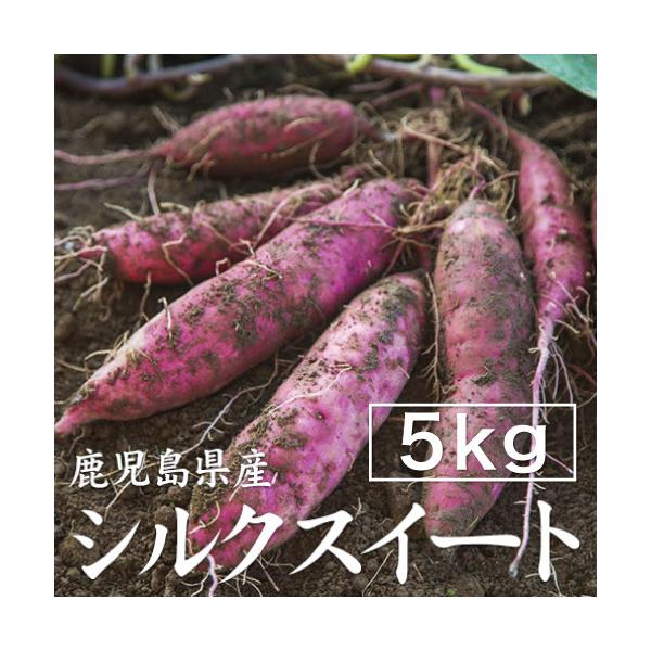 商品名：さつまいも（シルクスイート）内容量：5kg（大小混在）※こちらの商品は、遠隔地配送時の鮮度が保証できないため、　北海道・沖縄・離島へのお届けは不可とさせていただきます。　お届け不可地域からのご注文をいただいた場合は、当店より　お断り...