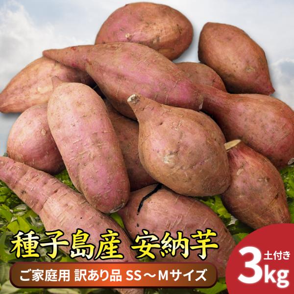 【発売日：2026年01月20日】※こちらの商品は、遠隔地配送時の鮮度が保証できないため、　北海道・沖縄・離島へのお届けは不可とさせていただきます。　お届け不可地域からのご注文をいただいた場合は、当店より　お断りのご連絡を差し上げますので予...