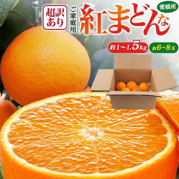 訳あり 紅まどんな 愛媛県産 みかん 約1〜1.5kg 6〜8玉入り家庭用 紅マドンナ 国産 最高級 ミカン 薄皮 甘い 果物 フルーツ 箱買い アウトレットテレビやSNSでも話題！幻の最高級みかん「紅まどんな」をお届け。愛媛県内でしか栽培...