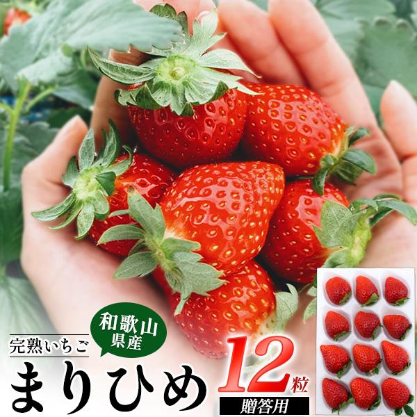 和歌山県産 苺 まりひめ 秀品以上 12粒入り糖度15度以上 希少品種 入手困難 完熟 いちご 果物 フルーツ イチゴ 大粒こだわりを持って栽培されている農家から美味しい状態の完熟のまりひめを厳選してお届けします！完熟いちごは甘みが乗った最...