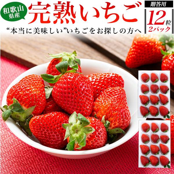和歌山県産 苺 まりひめ 秀品以上 12粒入り　2箱セット 糖度15度以上 希少品種 入手困難 完熟 いちご 果物 フルーツ イチゴ 大粒こだわりを持って栽培されている農家から美味しい状態の完熟のまりひめを厳選してお届けします！完熟いちごは...