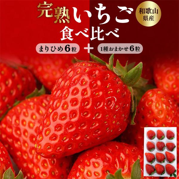 和歌山県産 苺 完熟いちご 食べ比べセット12粒入りまりひめ + 1種 品種おまかせ 紀の香 紅ほっぺなど 糖度15度以上 希少品種 果物 フルーツ イチゴ 大粒和歌山県産「まりひめ」6粒と紀の香/紅ほっぺなど「おまかせ品種」6粒のセットで...