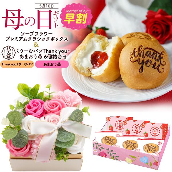 母の日 2026 ギフト mothersday 2026.05.10(日）母の日ギフト 限定ギフトセット■ 母の日メッセージカード付属※メッセージは定型文のみ、変更不可----------------------------------八天...