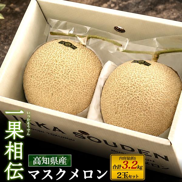 高知県産 マスクメロン 一果相伝 2玉セット 約1.6kg×2個メロン 土佐 めろん 高級 ブランド フルーツ 果物 お取り寄せ 箱入り 贈答用土佐の高知県夜須から、一本の苗に一玉だけという贅沢な栽培方法で作り上げた、生産者の愛情のこもった...