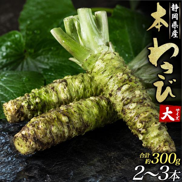 静岡県産 本わさび 大サイズ 2〜3本入り 合計約300g国産 ワサビ 香味野菜 薬味 季節の食材 和食 調味料 お取り寄せ食材 数量限定静岡県産のたっぷり使える大サイズの本わさびをセットでお届けします。通常サイズを大きく上回る、贅沢なサイ...