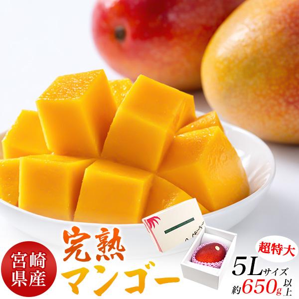 宮崎県産 マンゴー 超特大 5Lサイズ（約650g以上）国産 完熟 マンゴー トロピカルフルーツ 果物 フルーツ 大粒宮崎県産のマンゴーは樹上完熟で柔らかで濃厚な甘みが特徴。果実が熟してネットに自然に落下するのを待って収穫し、香りや美味しさ...