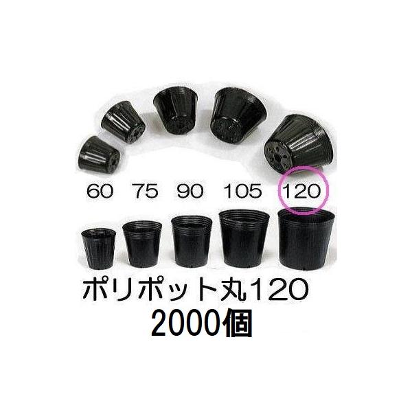材質 ポリエチレン　12cm　2000個入特価。スベールポットは、ソフトタッチで滑り易く作業性に優れています。底面部に突起が有るのでポリ鉢が浮き、上部リブに縦線を入れる事により溝に食い込みにくく取り易い形状になっています。6cmより30.5...