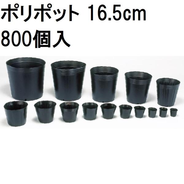 メーカー直送品のため、代引き決済はできません。北海道 沖縄 離島への送料はお見積りになります。法人様は法人名・屋号を必ずご記載ください。個人名の場合は個人宅扱いになります。個人宅へは取寄せ後の配送となり、1300円加算されます。材質 ポリエ...