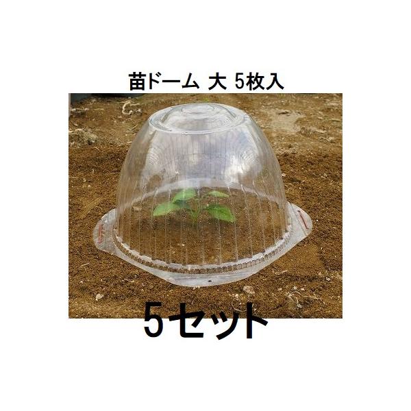 植物の成長に合わせ、支柱保持穴(天井部)に支柱を設置することができます。カンタンに持ち上げることができ、追肥もラクラク！換気穴付きで、適度な温度を保ち、強雨からも苗を守ります。直径(内径)35cm、高さ(内側)24cm、重量450g材質：ポ...