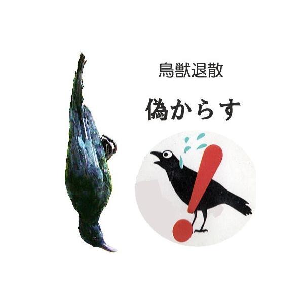 表面は羽毛、実物そっくりで害鳥もびっくり！カラスには逆さ吊りに、ヒヨドリには頭を上にスマートフォンからご注文の際は、パソコン版商品説明も必ずご確認ください。