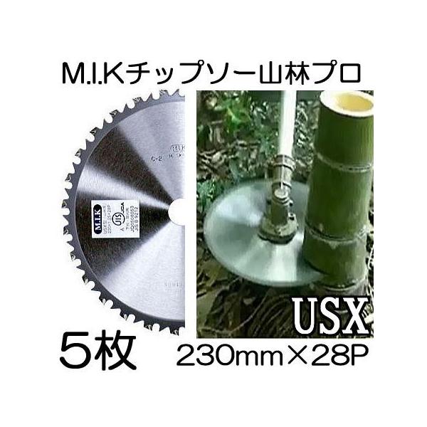 この商品は代金引換決済ができます。沖縄、離島の送料は見積りになりますのでご了承ください。竹は薬品などを使わずとも枯らす事ができます、地面から1メートル程度で竹を切る事で光合成が出来なくなり枯らす事が可能です。春に竹は地面から水を吸い上げるの...