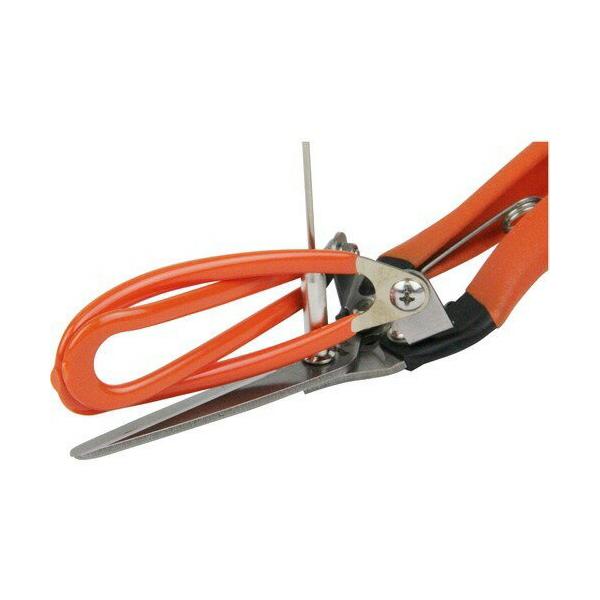 北海道、沖縄、離島へは送料見積りになりますのでご了承ください。最高の切れ味でアスパラをカット、アスパラ専用収穫道具です。全長：205mm／刃長：63mm28cm着脱式ものさしスマートフォンからご注文の際は、パソコン版商品説明もご確認ください。