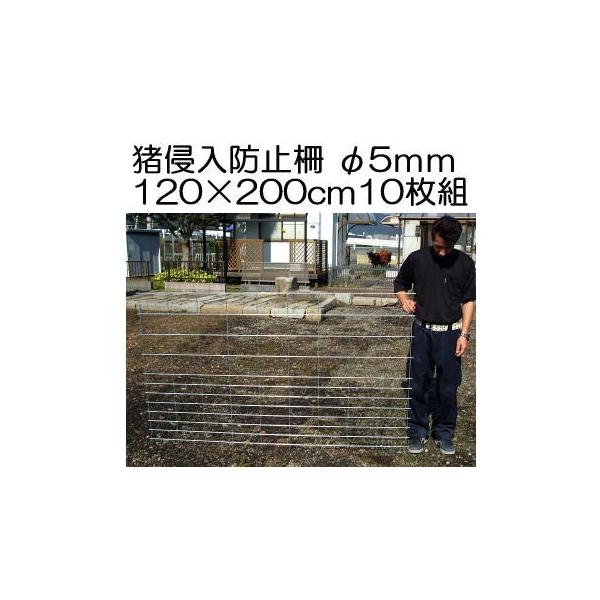 網が10枚で20m分になります。支柱と結束線は別途お求めください。ネットの縦線が1本、横線が2本、従来の物より増えて目合いが小さくなりました。ネットの下部は小動物侵入防止のため狭くなっています。網目：上部150mm×218mm　　　下部75...