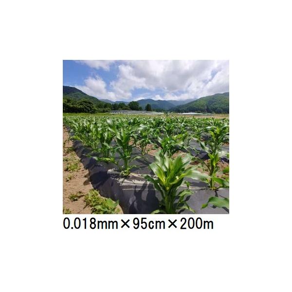 土中の微生物により、水と炭酸ガスに分解します。マルチを取り除く必要がありません。土の中に鋤きこむことができるのでキエ丸を敷いたまま土寄せや収穫機を使うことができます。耕運機でそのまま土の中へ鋤きこみます。分解消滅するのでゴミがでません。スマ...
