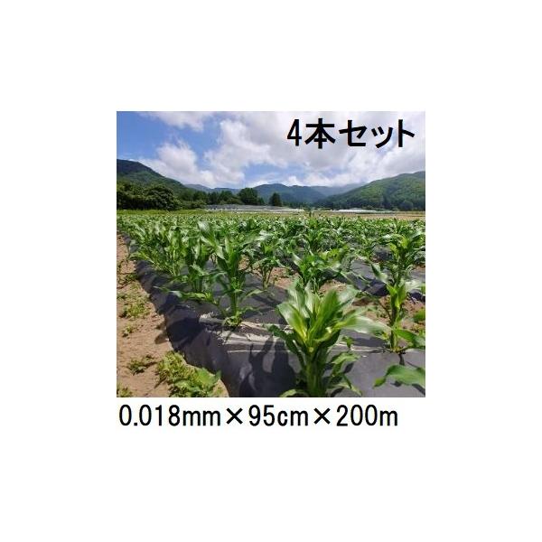 土中の微生物により、水と炭酸ガスに分解します。マルチを取り除く必要がありません。土の中に鋤きこむことができるのでキエ丸を敷いたまま土寄せや収穫機を使うことができます。耕運機でそのまま土の中へ鋤きこみます。分解消滅するのでゴミがでません。メー...