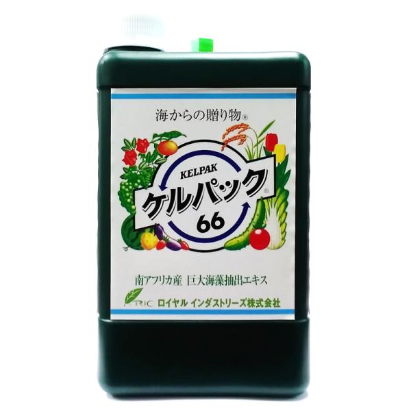 沖縄、離島への送料は見積りになります。驚きの南アフリカ産、巨大海藻エキススマートフォンからご注文の際は、パソコン版商品説明もご確認ください。