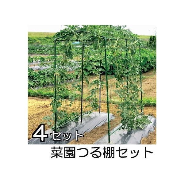 小型カボチャ、小玉スイカ、キュウリ、ゴーヤ、エンドウなどのツル野菜の空中栽培が楽しめます。送料についてまことに恐縮ですが、運送店の取り決めによりお届け先が 法人(会社、事業者、商店、学校、病院、協同組合、農園)等の場合、もしくは個人様(法人...