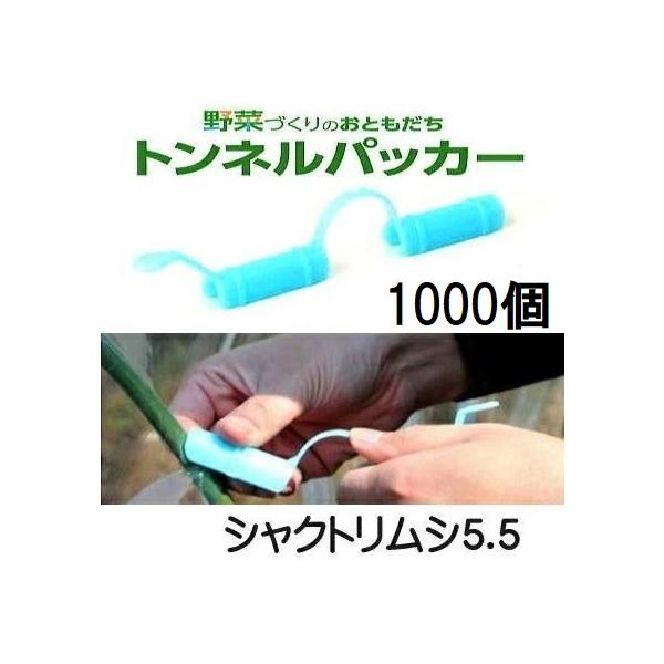 支柱径φ5.5mm用 ビニールトンネルに、虫よけの寒冷紗に、鳥よけのネットに、その他いろいろ止められます。北海道、沖縄、離島へは送料見積りになりますのでご了承ください。スマートフォンからご注文の際は、パソコン版商品説明も必ずご確認ください。