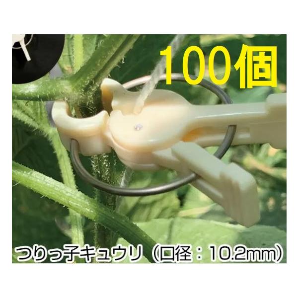 メーカー直送品のため代引決済はできません。沖縄県、離島への送料は見積りになります。つりっ子 キュウリ用 口径:10.2mm　【つりっ子】はトマト・きゅうり・メロン等の誘引を、紐で縛ったりする事なくワンタッチで誰にでも簡単に行える、優れたハウ...
