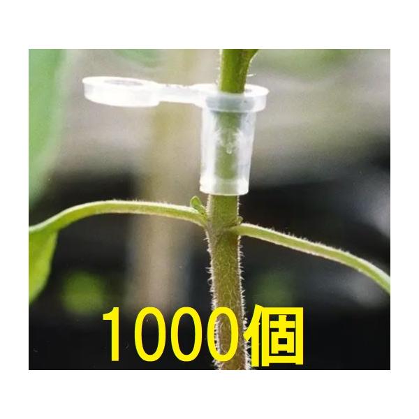 メーカー直送品のため代引決済はできません。沖縄県、離島への送料はお見積りになります。トマト・ナス・ピーマンなどの確かな接ぎ木に！【スーパーウィズ】は野菜類の連作障害の回避・生産安定・高品質・収量増加にかかせない技術とされる接ぎ木を、簡単に確...