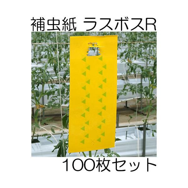 シートサイズ：115×260mm（両側粘着付き）スマートフォンからご注文の際はパソコン版商品説明もご確認ください。