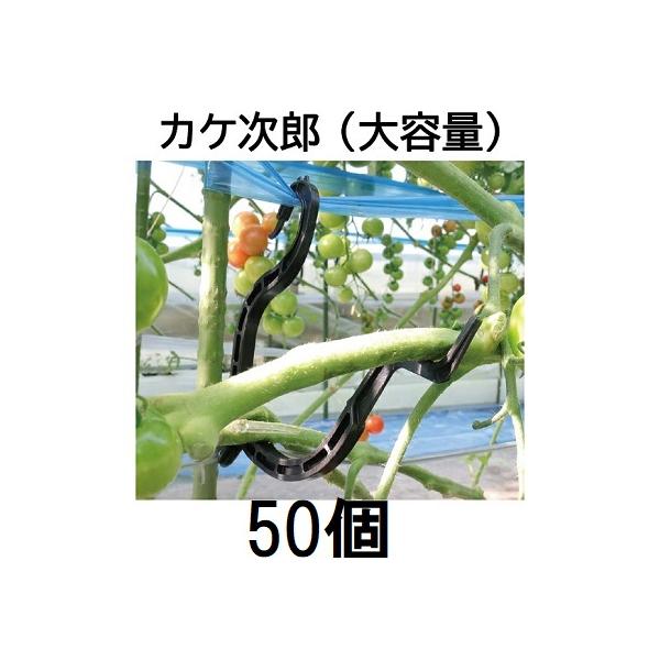農家向け徳用パッケージ 50個入 くきたっちとあわせて使って楽々誘引スマートフォンからご注文の際は、パソコン版商品説明も必ずご確認ください。