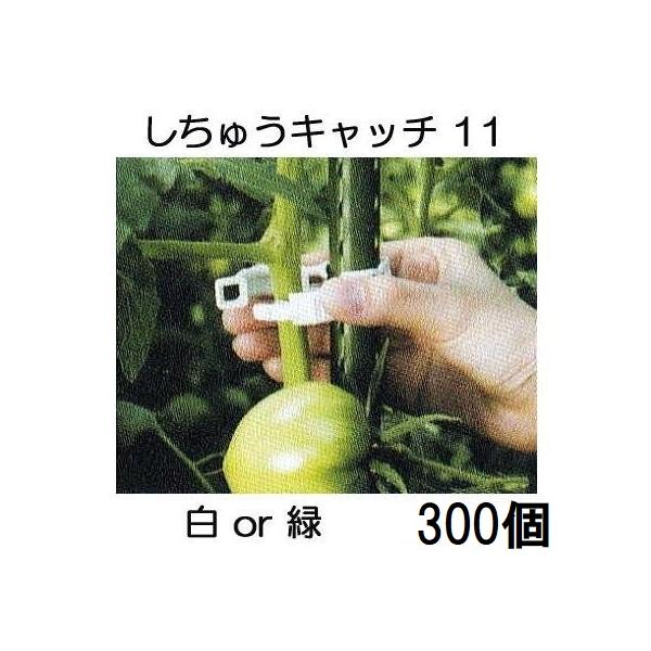 農家向け徳用パッケージ（11mmの支柱用）　白or緑　300個入北海道、沖縄県、離島への送料は見積りになります。スマートフォンからご注文の際はパソコン版商品説明もご確認ください。