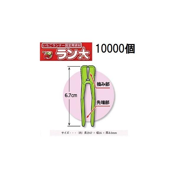 メーカー直送品のため代引決済はできません。サイズ：（約）長さ67×幅16×厚み3mm材質：耐候性ポリプロピレン色は白・赤・緑・橙・桃からお選び下さい。スマートフォンからご注文の際はパソコン版商品説明もご確認ください。