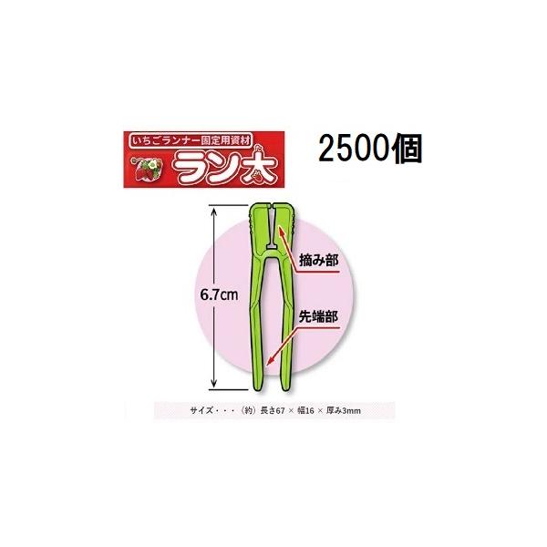 サイズ：（約）長さ67×幅16×厚み3mm材質：耐候性ポリプロピレン色は白・赤・緑・橙・桃からお選び下さい。スマートフォンからご注文の際はパソコン版商品説明もご確認ください。