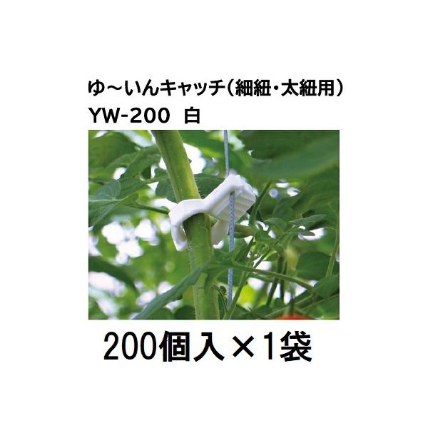北海道、沖縄、離島へは送料見積りになりますのでご了承ください。●トマト、ナス、キュウリ、メロンなどのひも誘引クリップです●低価格で繰り返し使えます●細いひもから麻ひもの太いひもまで使用できます材質；耐候性ポリプロピレンスマートフォンからご注...