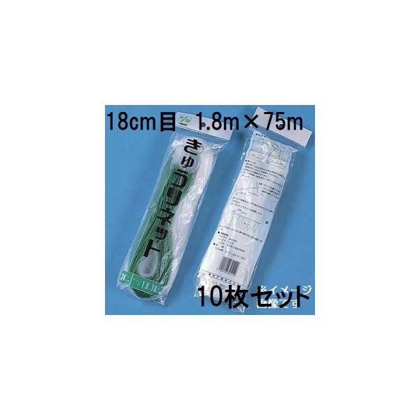 ※画像はイメージです。主な用途：家庭菜園、つる物栽培◎通風、採光が良く、良果が得られます。◎摘芯、整枝、誘引が楽になります。◎網糸は強く、腐りません。◎品質は抜群、安心して使用できます。メーカー直送品のため代引決済はご利用いただけません。北...