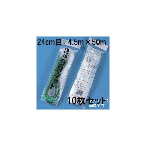 ※画像はイメージです。主な用途：家庭菜園、つる物栽培◎通風、採光が良く、良果が得られます。◎摘芯、整枝、誘引が楽になります。◎網糸は強く、腐りません。◎品質は抜群、安心して使用できます。メーカー直送品のため代引決済はご利用いただけません。北...